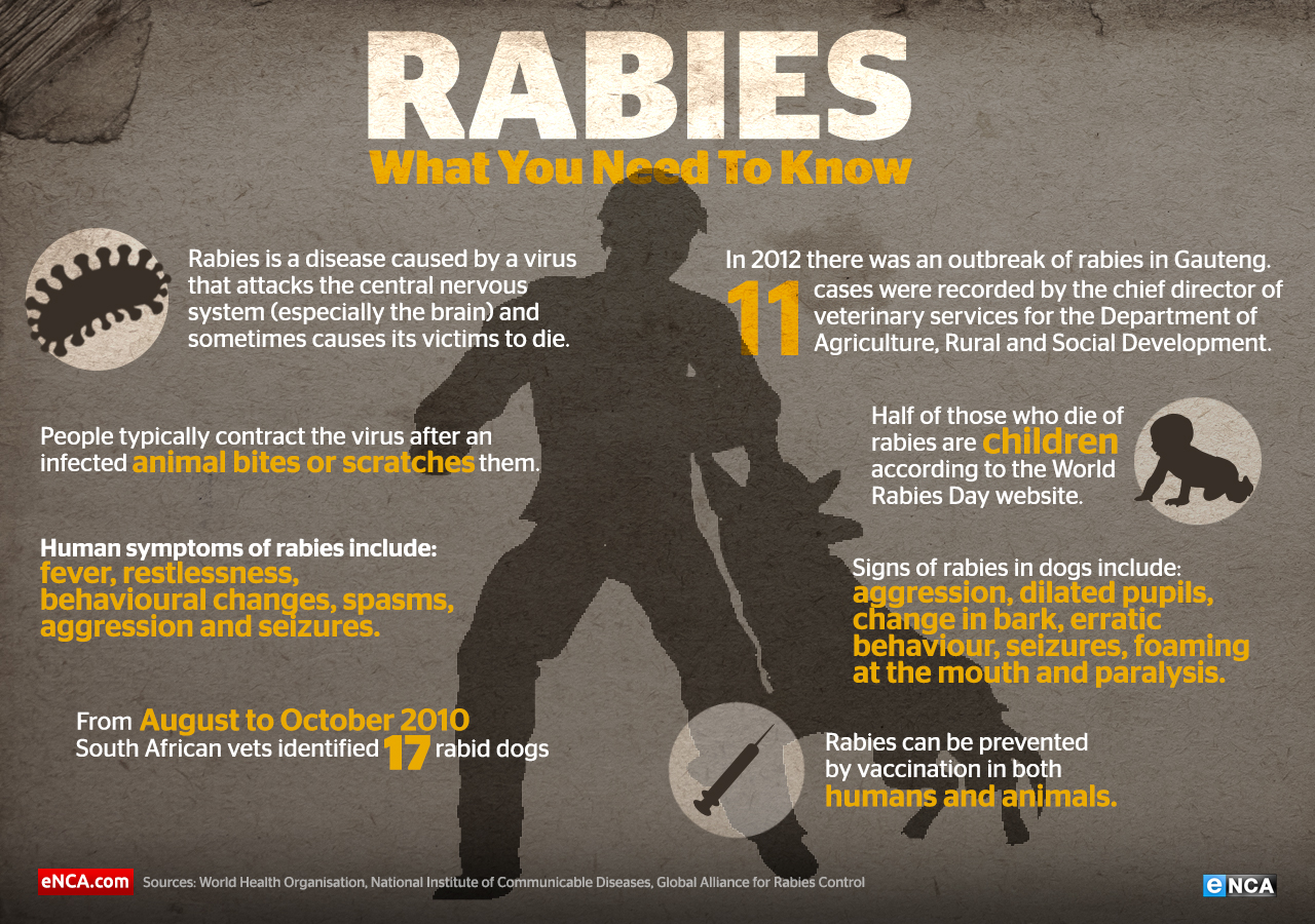 Is Rabies Always Fatal In Dogs