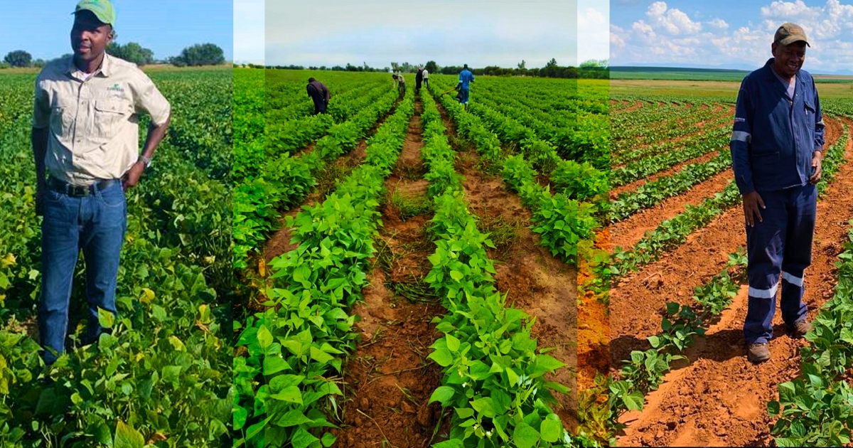 Opkomende boere beloon vir hul harde werk | eNCA