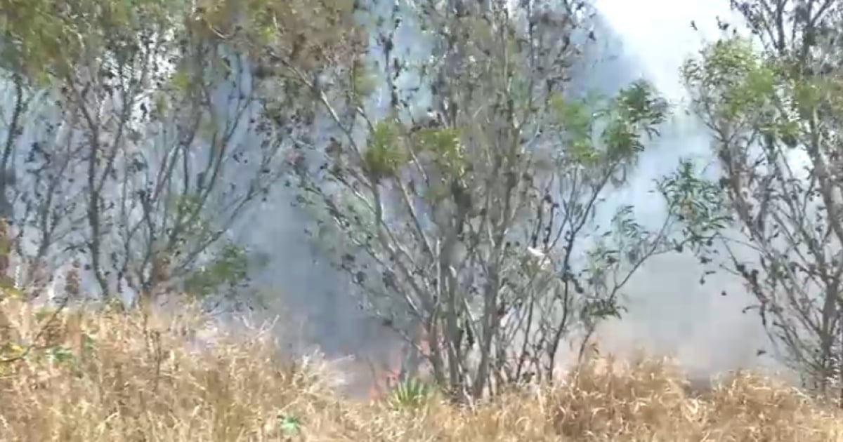 Gqeberha Fires | Veld fires flare up again | eNCA