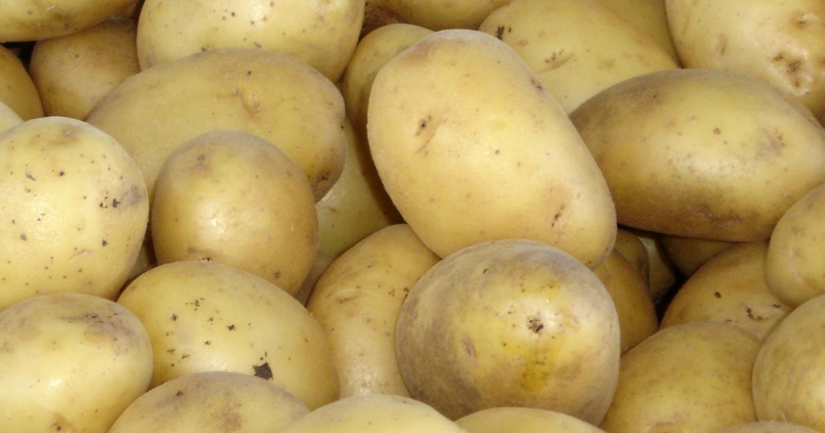 Food prices in SA | Potato Nation raises alarm on overpricing of spuds ...
