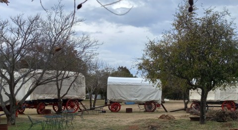 Erfenisdag: Parys kry outentieke ossewakamp - eNCA