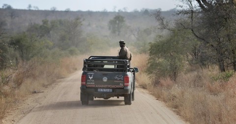 SANParks addresses safety, biodiversity issues - eNCA