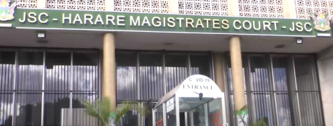 Zim politics | Lone protester sent for mental evaluation - eNCA