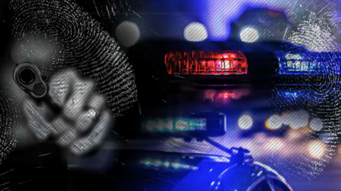 Crime in SA | Latest stats show a see-saw in criminal and violent acts ...