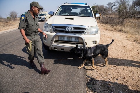 SANParks Safety | Visitors urged to report suspicious activity - eNCA