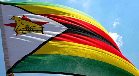 Zanu-PF welcomes Zim exemption permits extension - eNCA