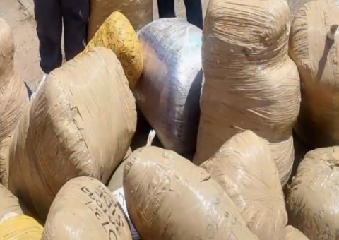 Drug trafficking | Mauritius case highlights drug mule issue - eNCA