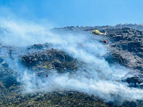 Wildfires in SA | A call for enhanced prevention strategies - eNCA