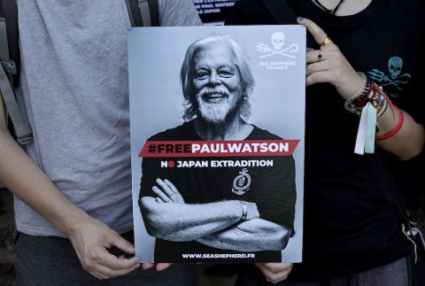 Paul Watson: Eco-warrior on the high seas - eNCA