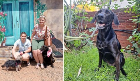 'n Nuwe huis vir Chloe: "Sy's oor ons pad gestuur" - eNCA