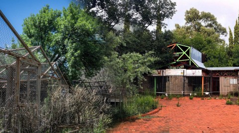 Bloemfontein-dieretuin bly vir eers gesluit, sê hof - eNCA