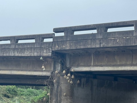 SA's broken infrastructure | Bridge collapse sparks concern - eNCA