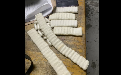 Another Brazilian drug mule nabbed at OR Tambo - eNCA