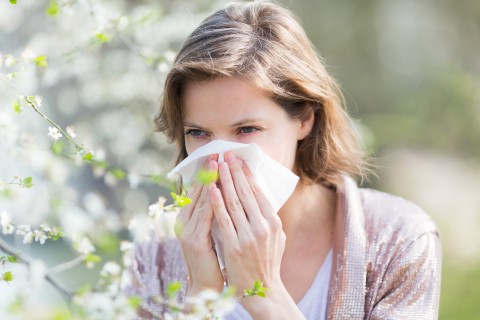 Spring and hay fever: What you need to know - eNCA