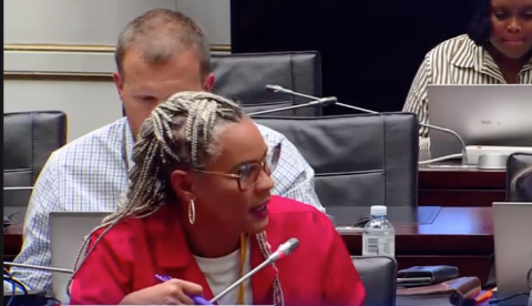 "We've been undermined by Paul O'Sullivan," says EFF MP Mathys - eNCA