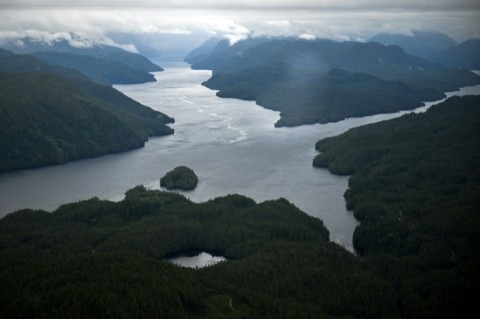 Canada marine protection plan aims to serve as global model - eNCA