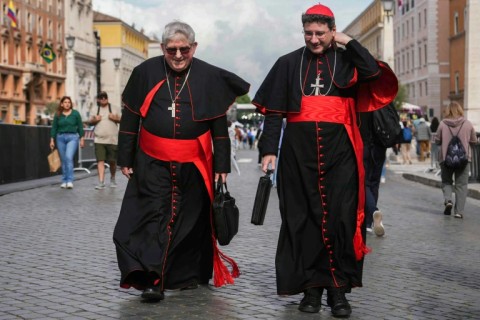 What's a cardinal? The 'princes' of the Church electing a new pope - eNCA