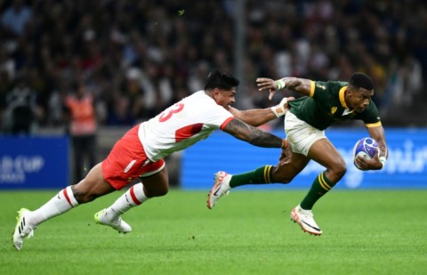 Springbok scrum-half speedster Williams gets chance to impress - eNCA