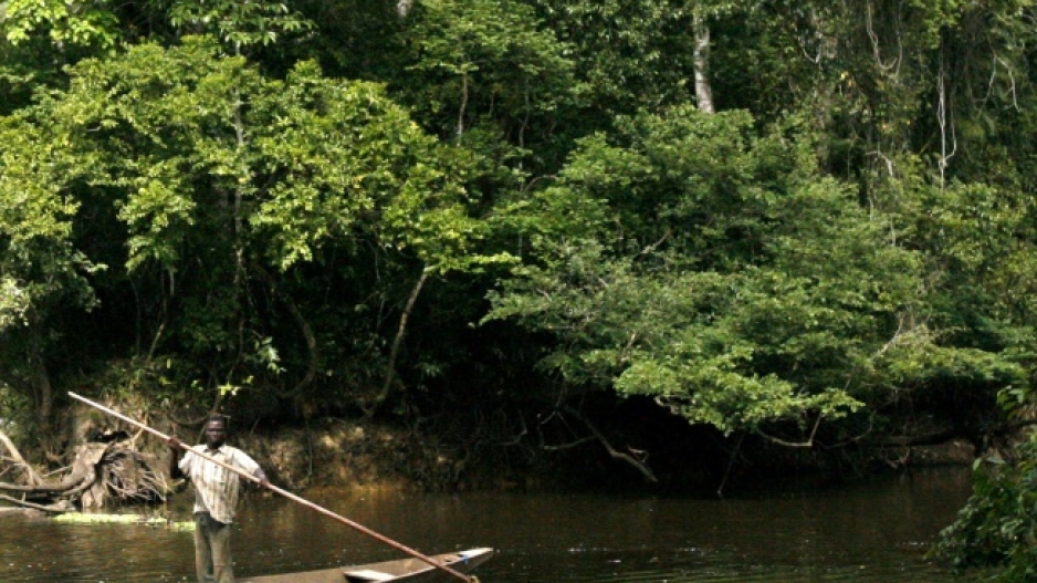 Nestle steps up reforestation project in Ivory Coast | eNCA